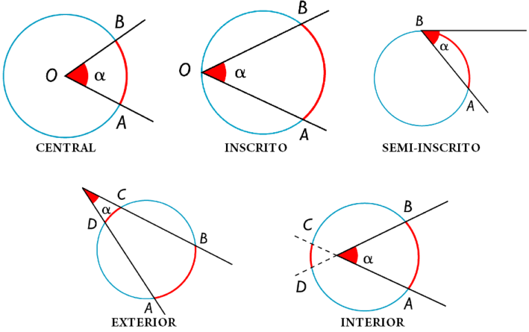 ¡Descubre cuántos ángulos de 90 grados existen en un círculo y amplía ...