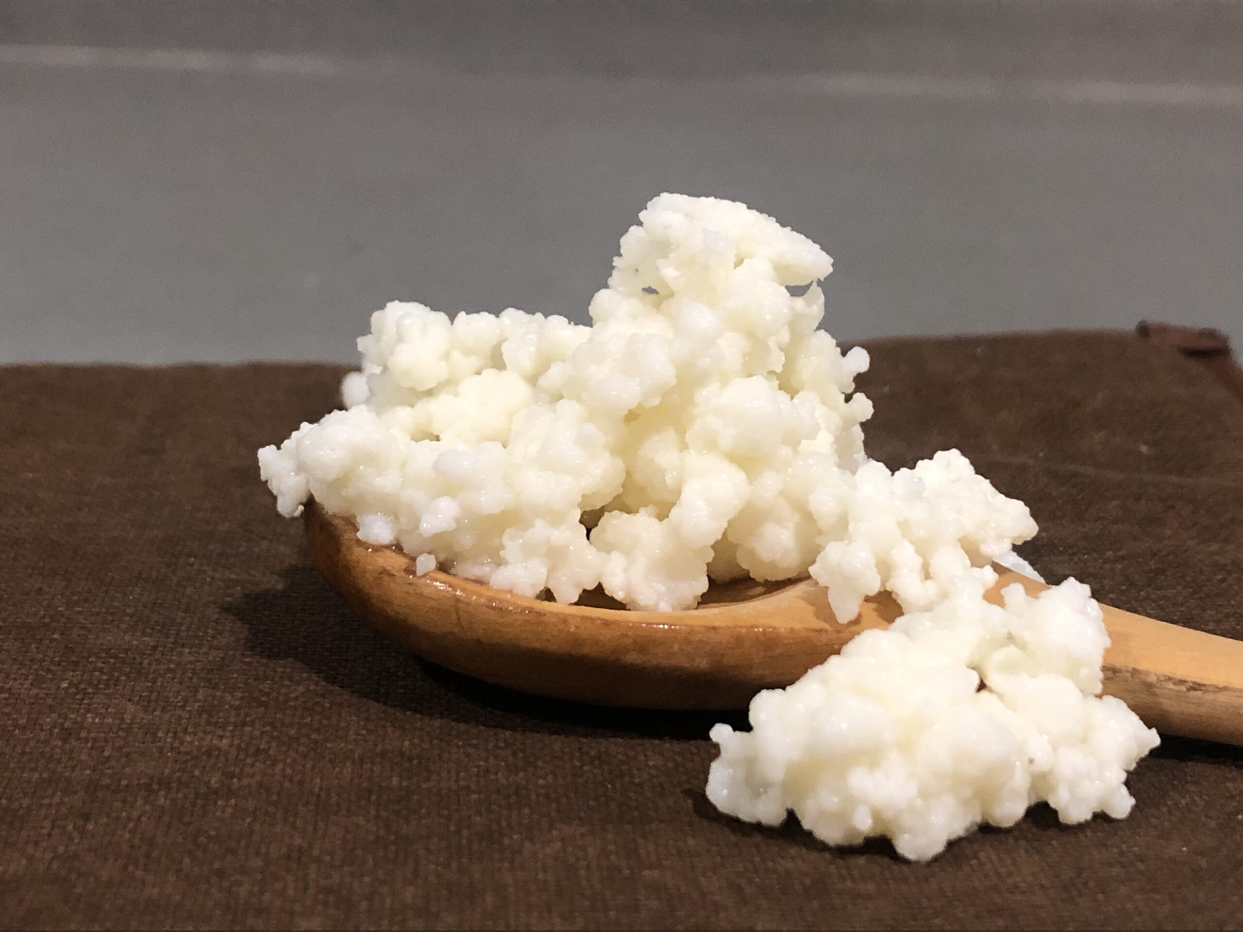 Descubre los secretos para multiplicar tus bulgaros de leche y ...