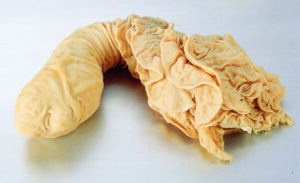 Cuajo de la vaca: Todo lo que necesitas saber sobre este ingrediente ...