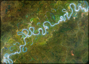 Averigua las razones fascinantes detrás de las curvas sinuosas de los ...