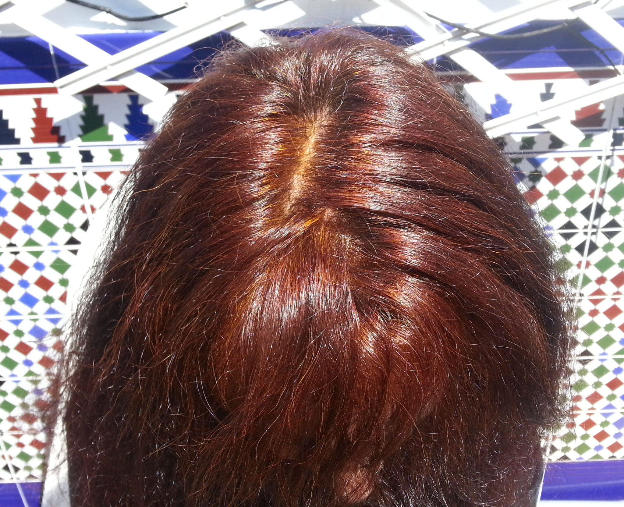 Descubre los increíbles beneficios de la henna para el cabello y luce ...