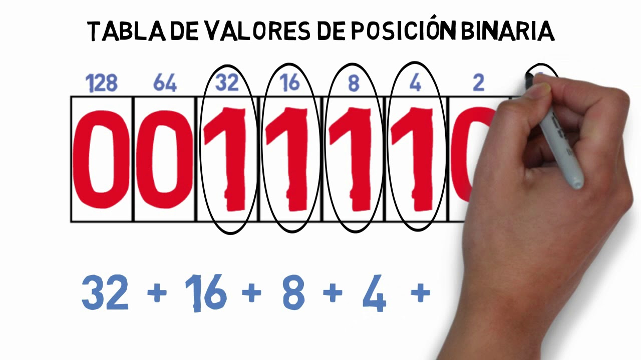 ¡Aprende cómo sacar los grados de un porcentaje y domina las ...