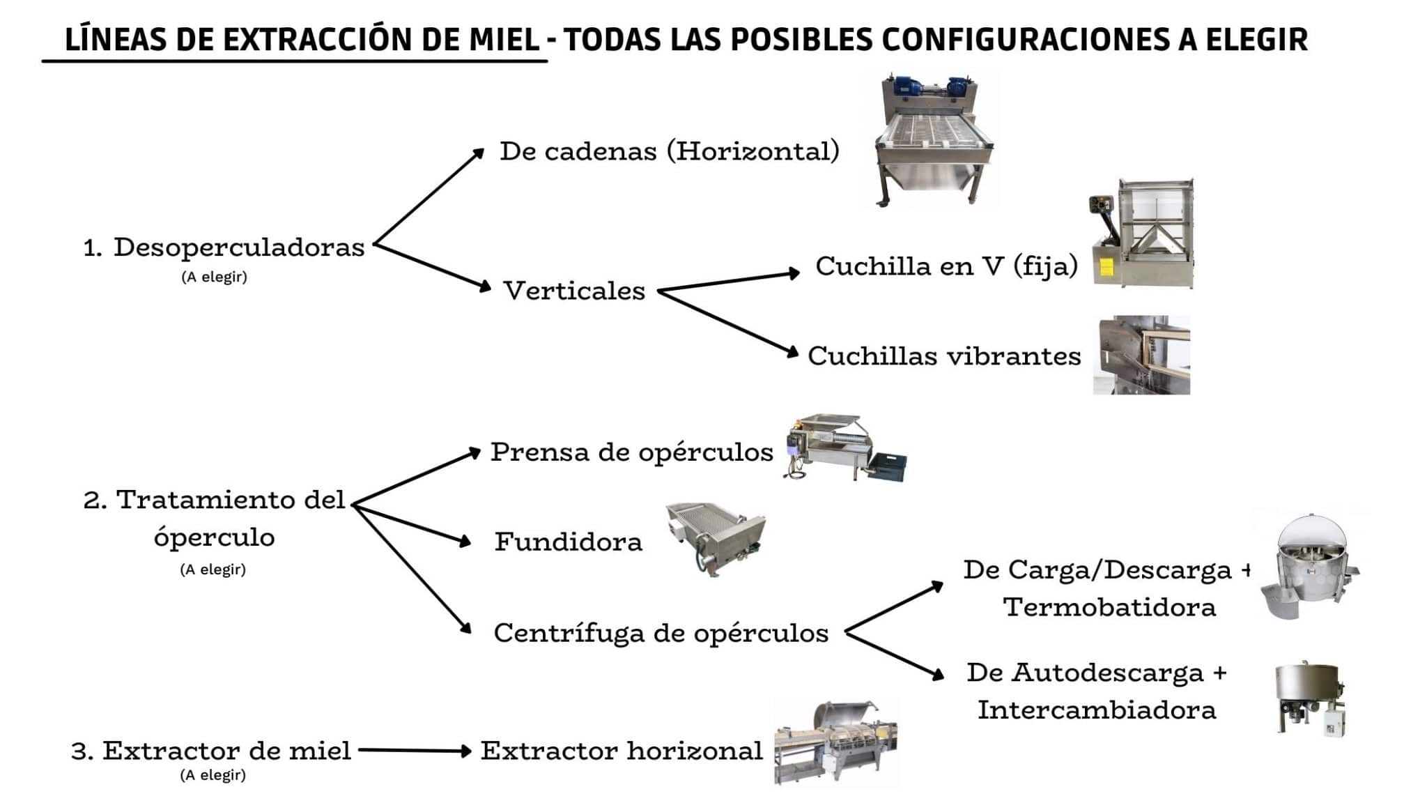 Descubre el fascinante proceso de extracción de la miel de maple y cómo ...