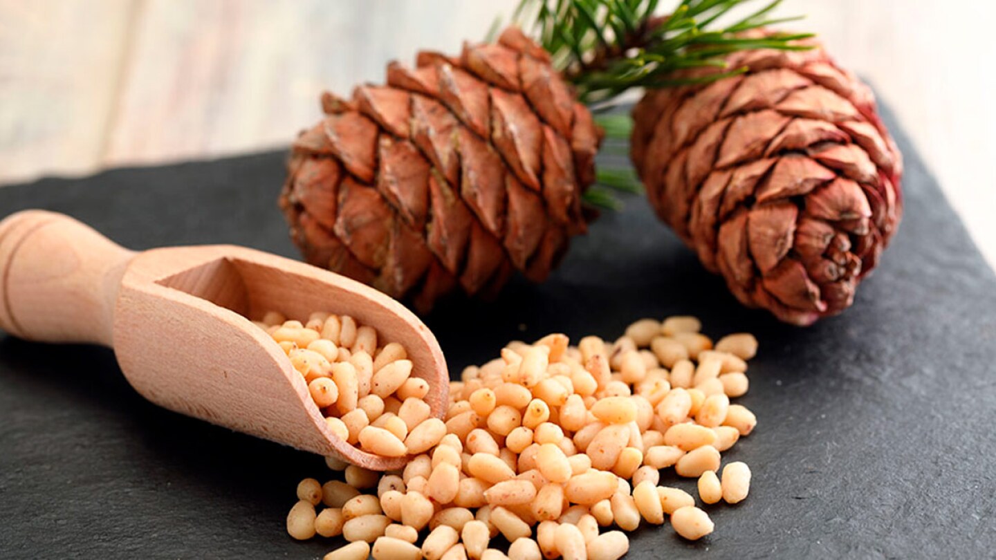 Descubre los secretos de cómo se da el piñón: todo lo que necesitas ...