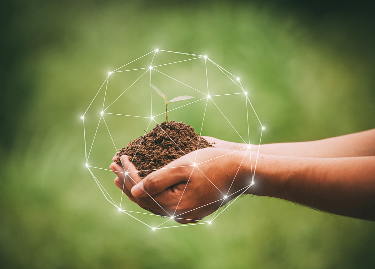 Ecología vs Ecologismo: Conoce las claves para entender la diferencia y ...